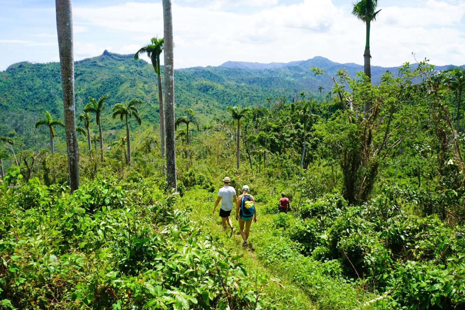Alejandro de Humboldt National Park | Baracoa, Cuba | Beyond